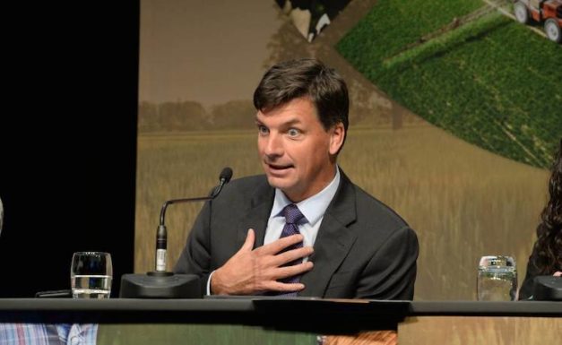 Watergate ducking and dodging: More questions from Jommy Tee and Ronni ...