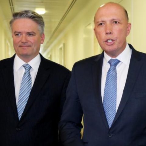 Cormann, Dutton's $60,000 domestic RAAF flights - Michael West