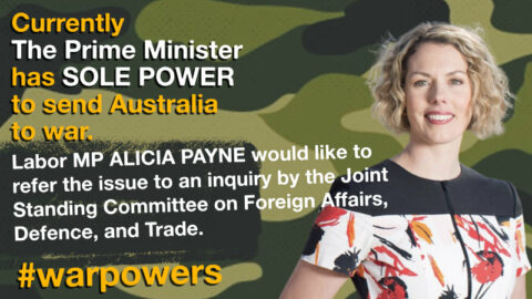 Alicia Payne on war powers reform - Michael West