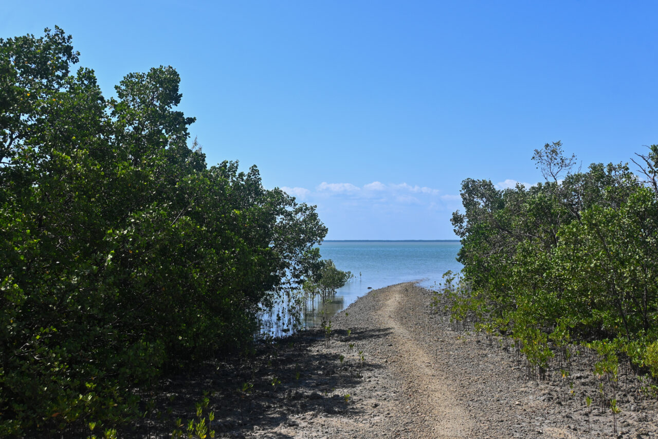 Through hell and high water: Torres Strait Islanders fight for their home